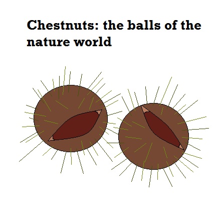 Two Beans Or Not Two Beans: Hard Knock Lessons: Chestnuts