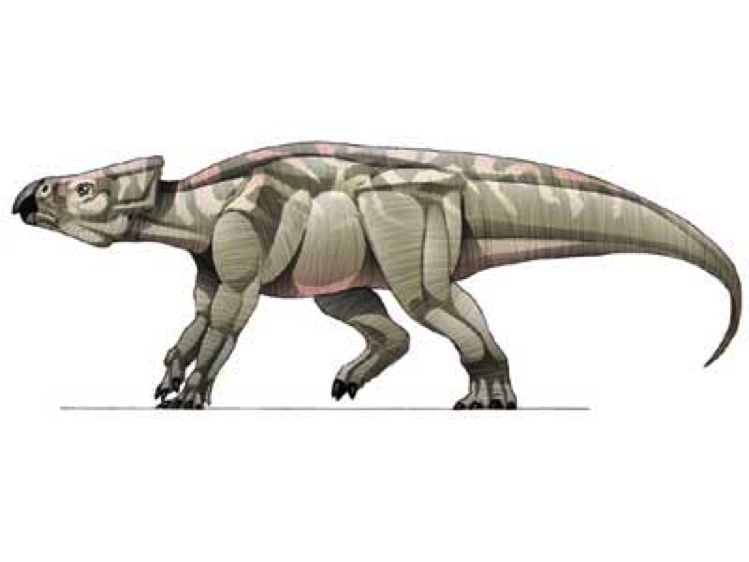 Jurassic Park Saga: A Cinematic Universe: Jurassic June Day 14 ...