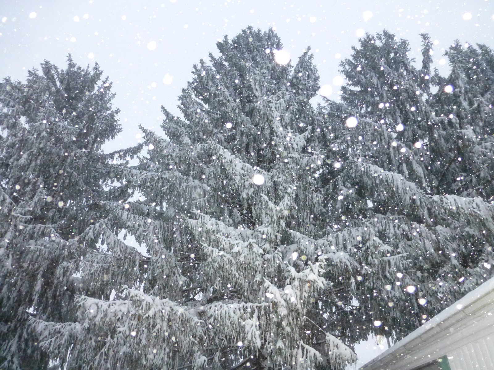 NE Ohio & Delaware Valley Weather Center: February 2013