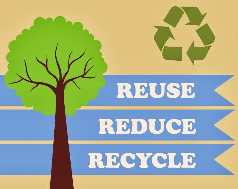 5 Positive Changes You Can Make To The Environment - Tech News 24h