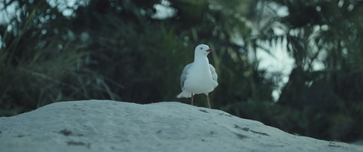 Film Review Feast: Review: The Shallows (2016)