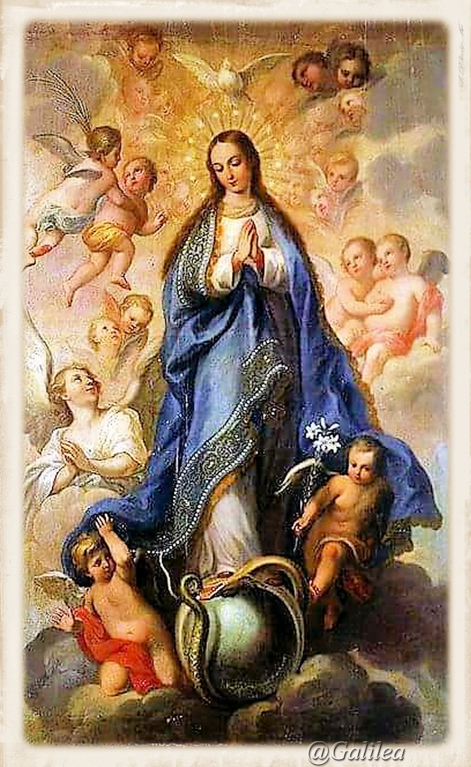 ® Colección De S ® Virgen Maria La Asuncion