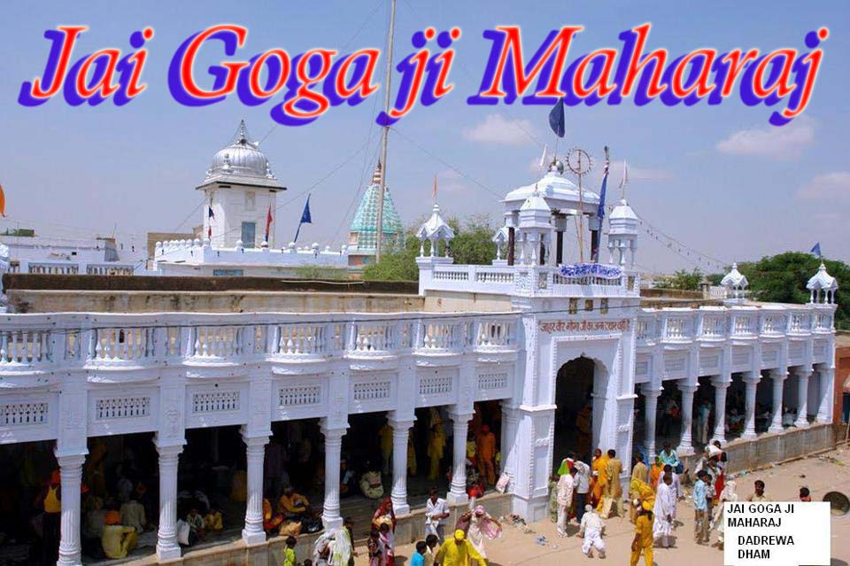 GOGAJI MAHARAJ DADREWA: ददरेवा तेरी मिटटी सोना