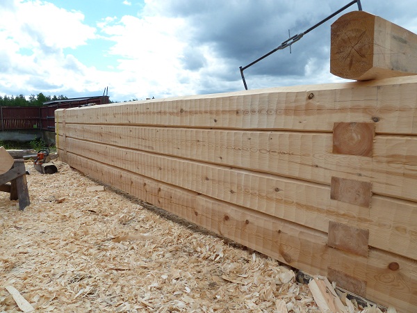 Passiivipuutalo: Saunan runko alkaa hahmottua