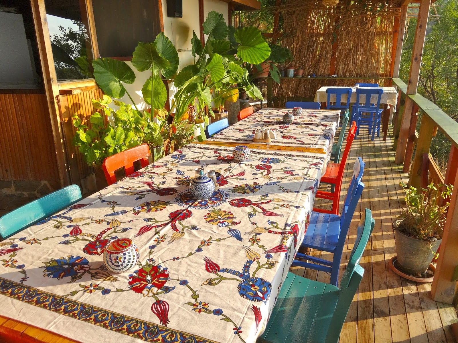 Aki Omori: Yoga, Meditation and Mindfulness Retreat 2016 at Suleyman's ...