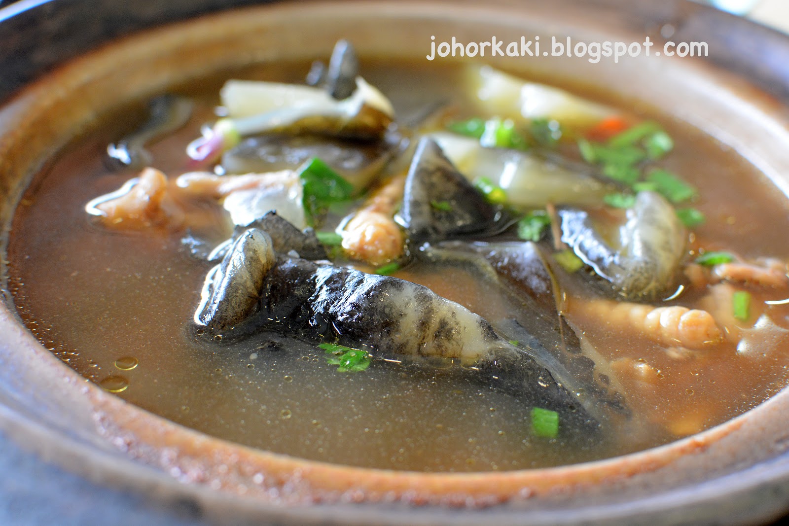 Review of Singapore Turtle Soup at Fu He Berseh Food Centre 福和草龟 山瑞 ...