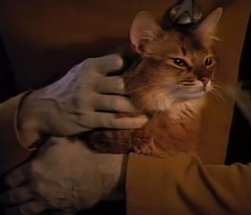 Der alltägliche Wahnsinn - eine Chronik: Looking back on last week ...