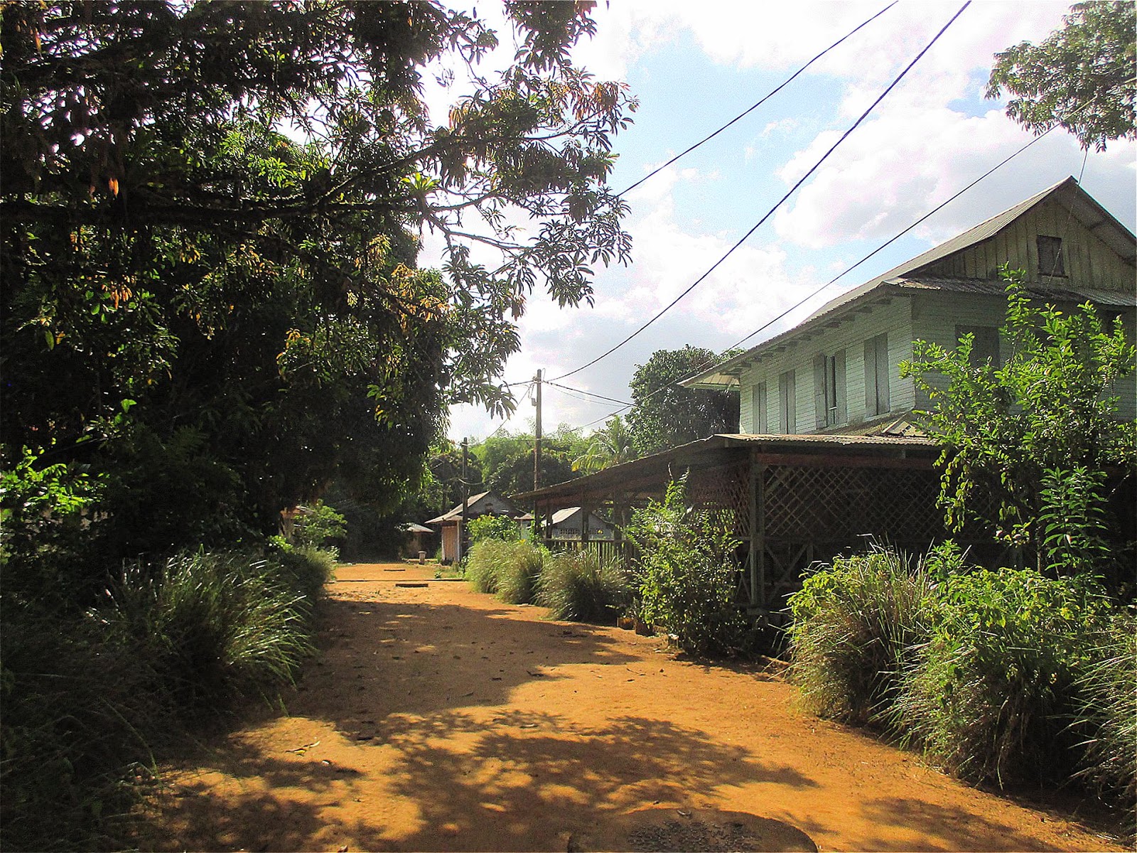 Guyane : Une visite au village de Kaw - Les rêveries d'Isisya