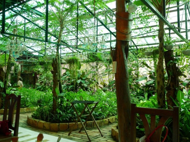 Its A Lovely Day Sonyas Garden