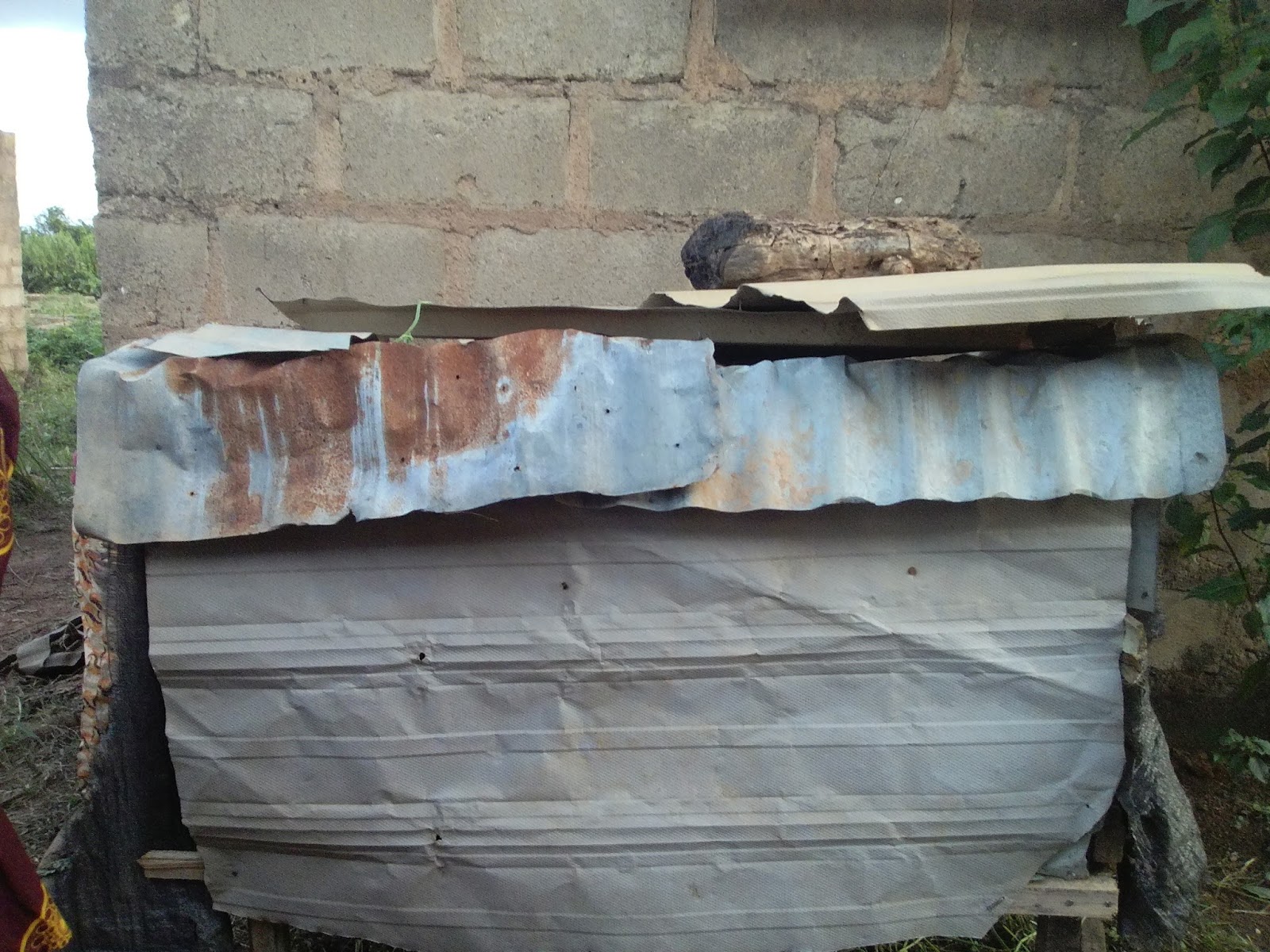 YOUTH RABBIT PROJECT: REPORT