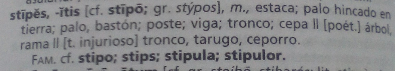 LA MEJOR TRADUCCIÓN DE LA BIBLIA AL ESPAÑOL: ¿Se llamaba "stipes" al ...