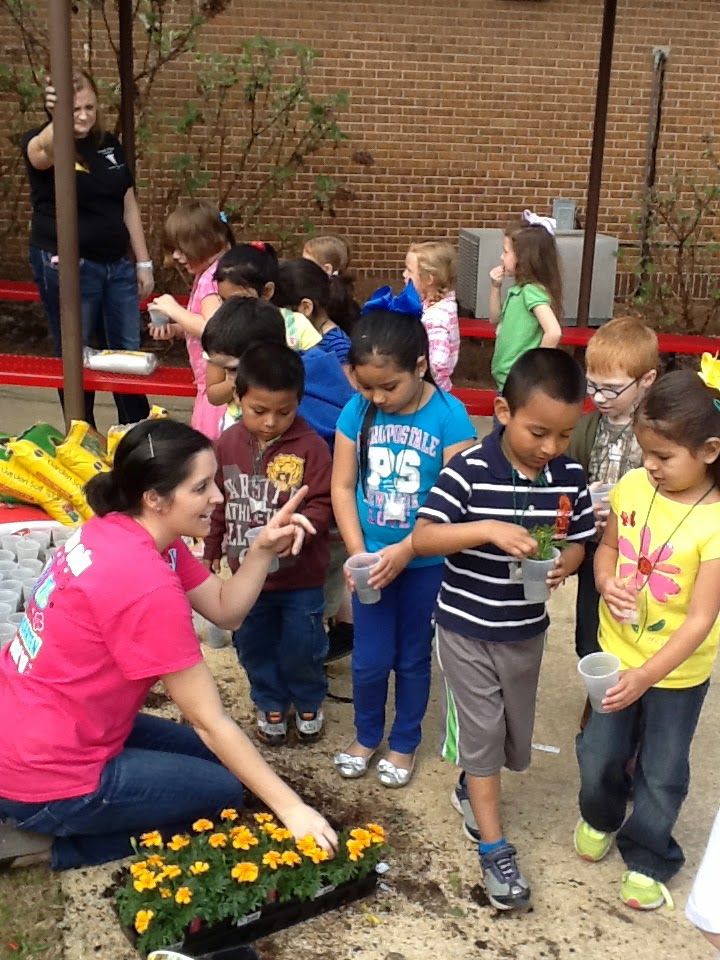 Mrs. Lee's Kindergarten: Farm Centers and Activities