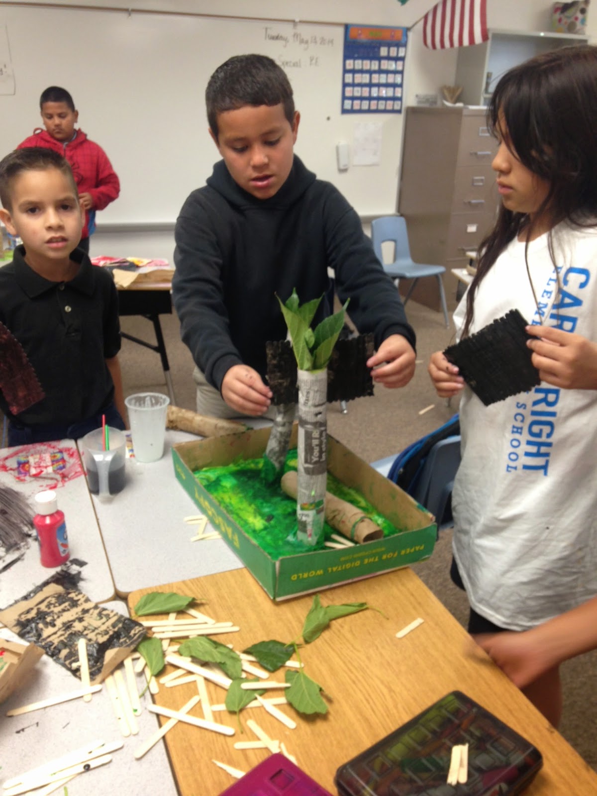 Third Grade with Room Nine: Welcome to the Rainforest