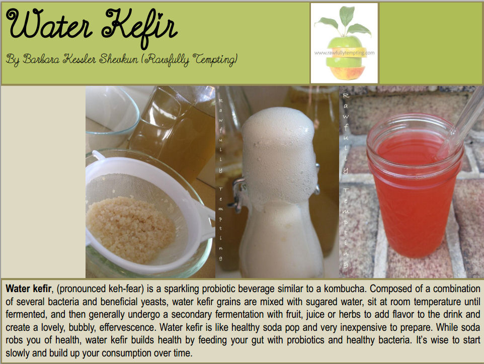 Remember: Water Kefir grains are living organisms and they need to be ...
