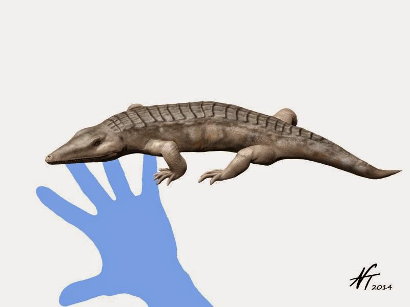 Paleoexhibit: Meet the Chroniosuchians