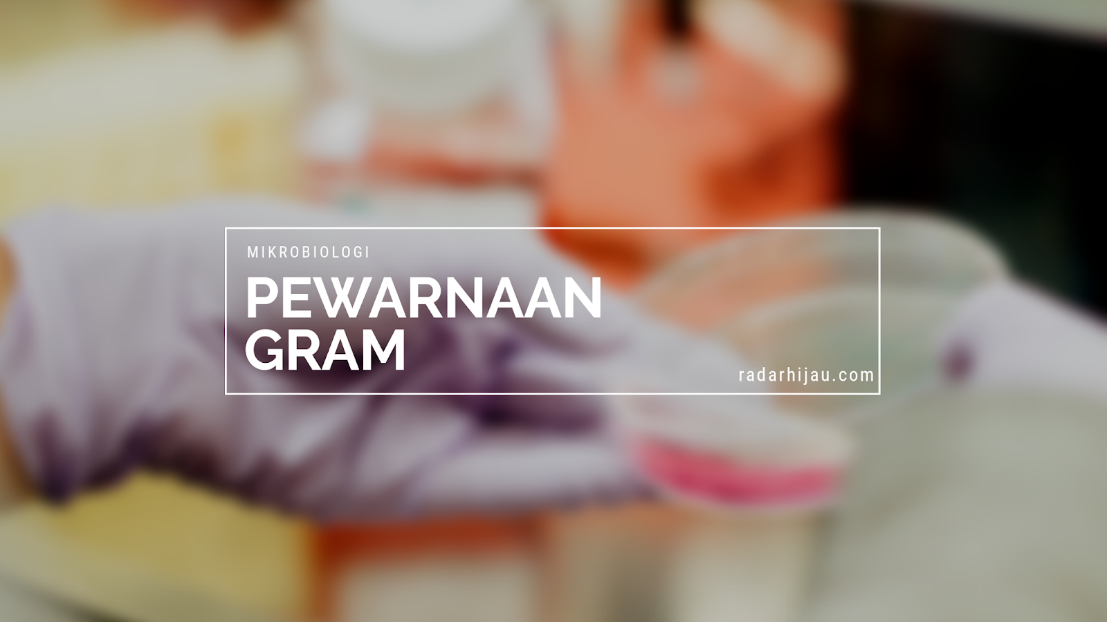 Pewarnaan Gram Prinsip dan Prosedur Pewarnaan MicrobeHolic