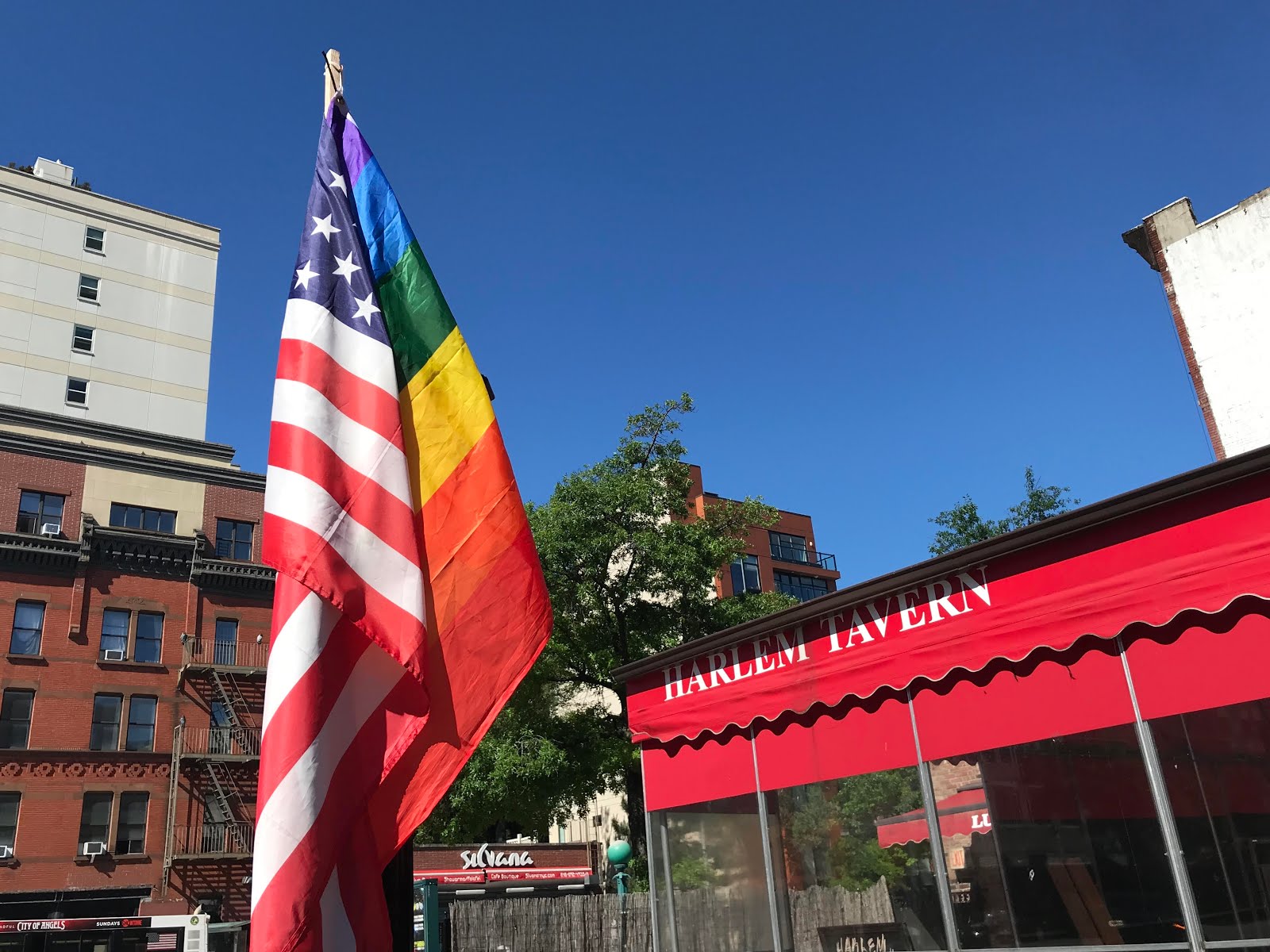H A R L E M + B E S P O K E: LGBT: PRIDE IN HARLEM 2020