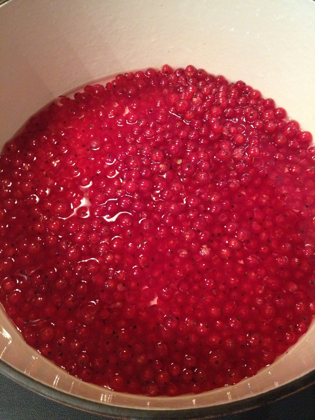 ZolaSoleil.... sous le soleil: cuisine et vélo: Gelée de gadelles ou ...