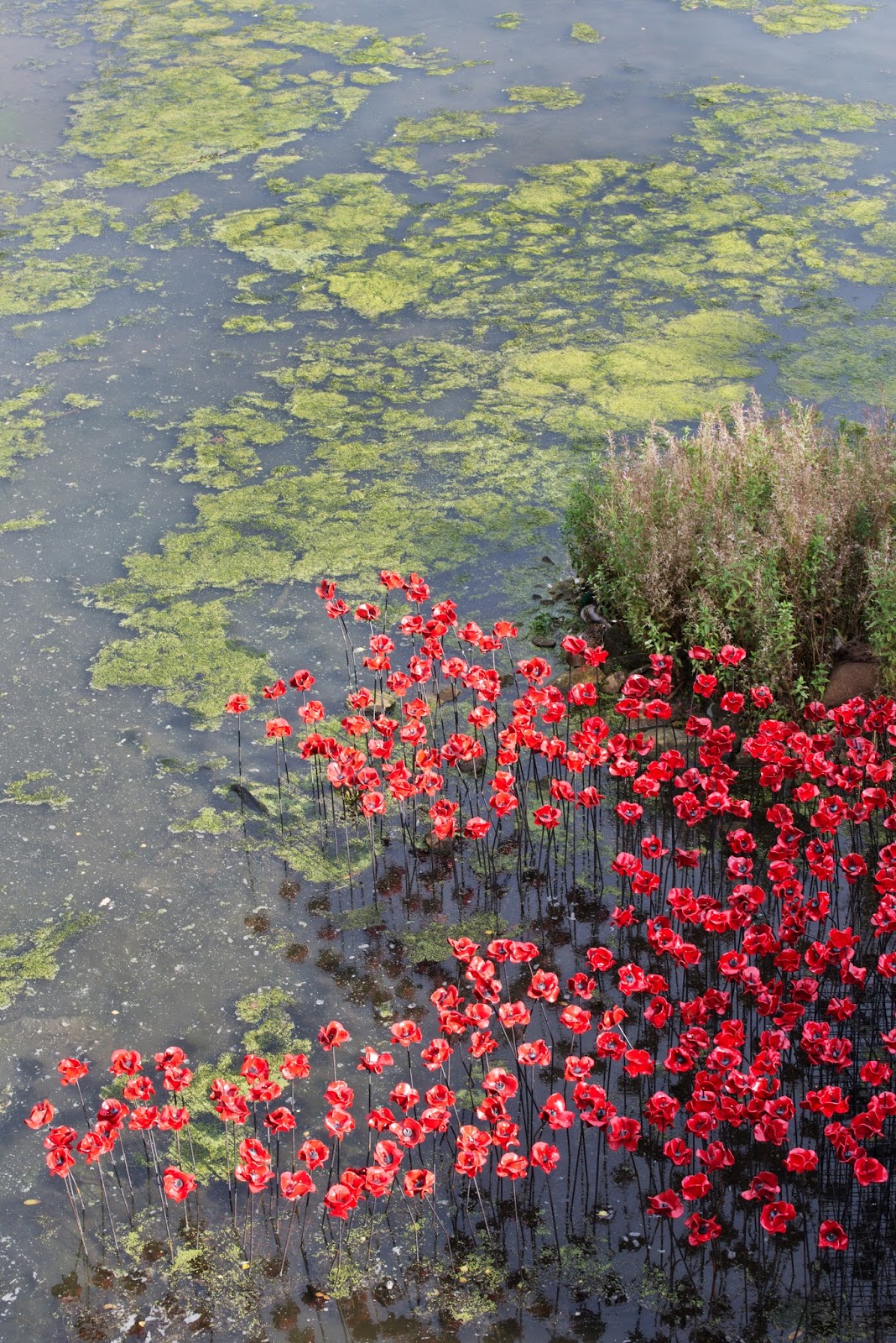 Wigtwizzle - Norman Smith's Travel Blog.: The Wave