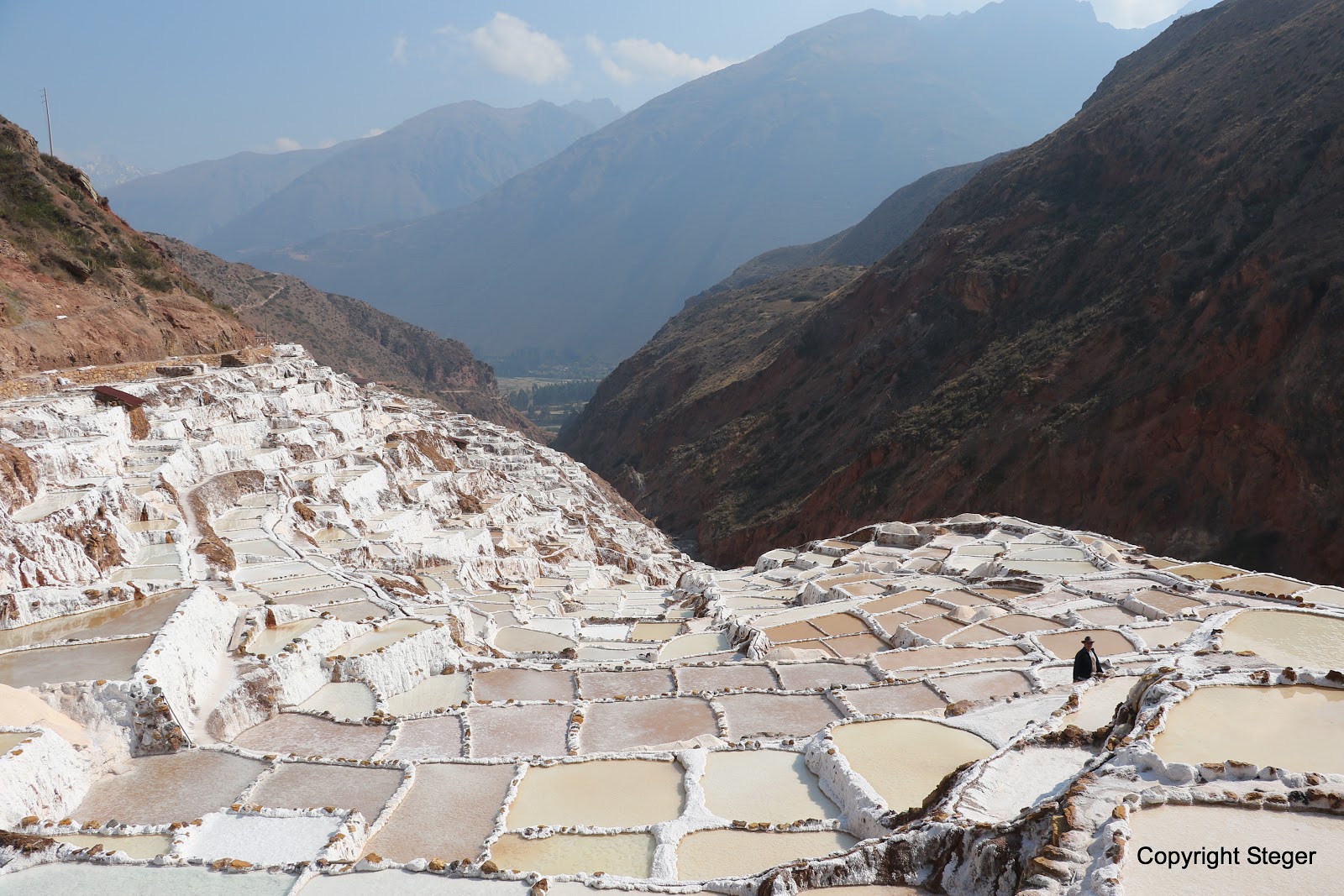 The Wheel: POTD: Marasal