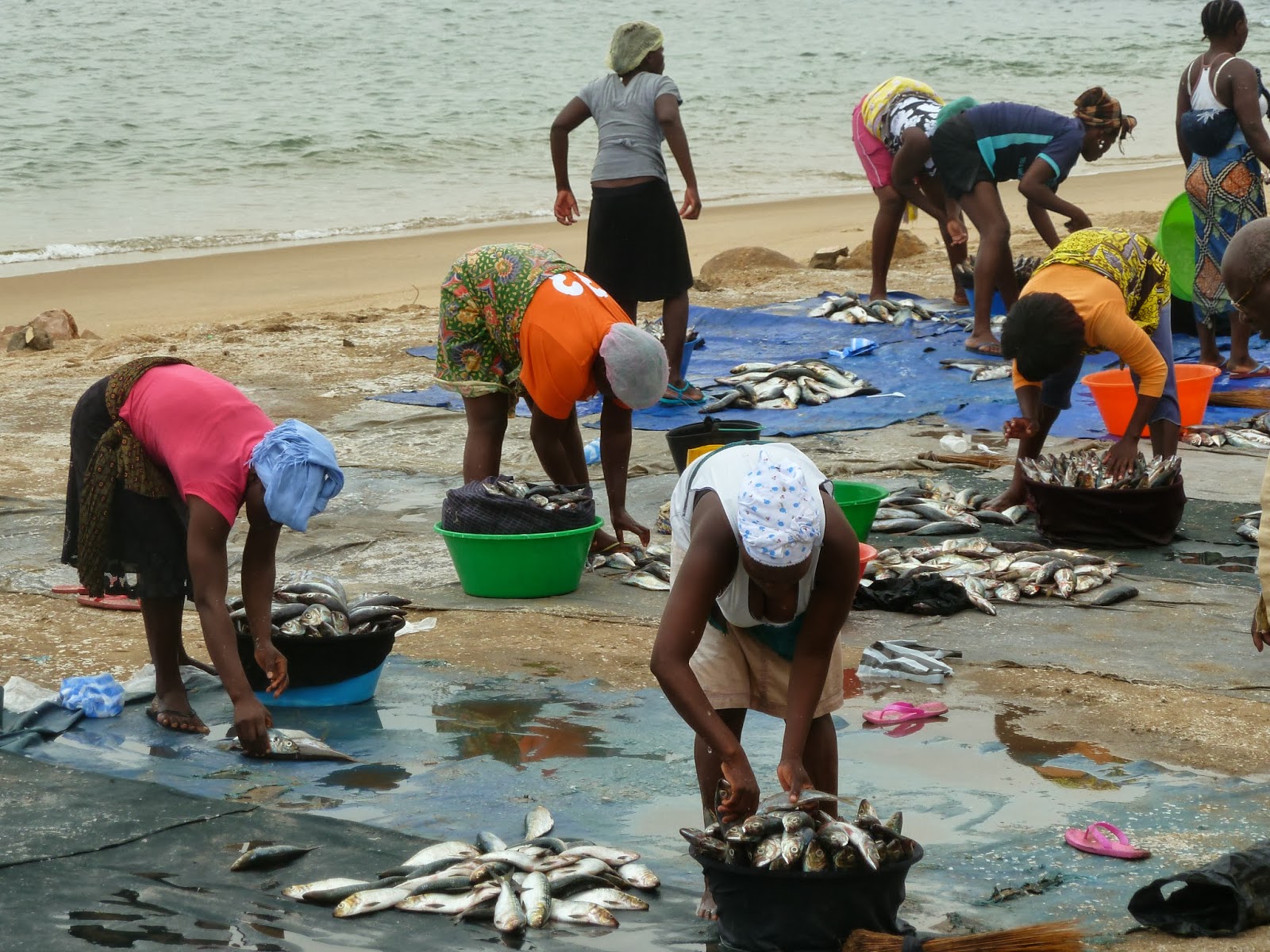 Adventures in Angola: Fish Ladies
