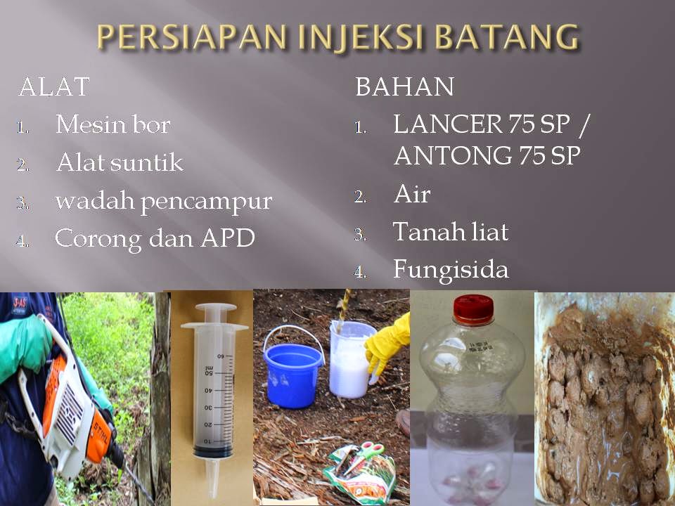 PANDUAN PENGENDALIAN ORGANISME PENGGANGGU TANAMAN (OPT) KELAPA SAWIT ...
