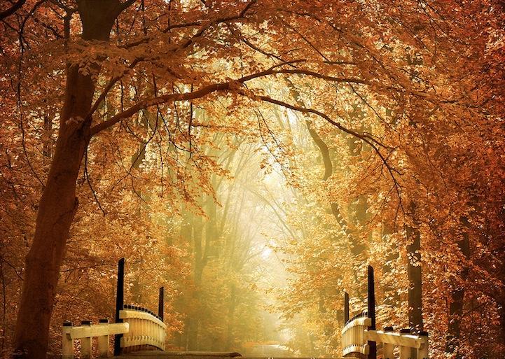 Zikaria Wallpepar: Nachural Wallpapers top 2011