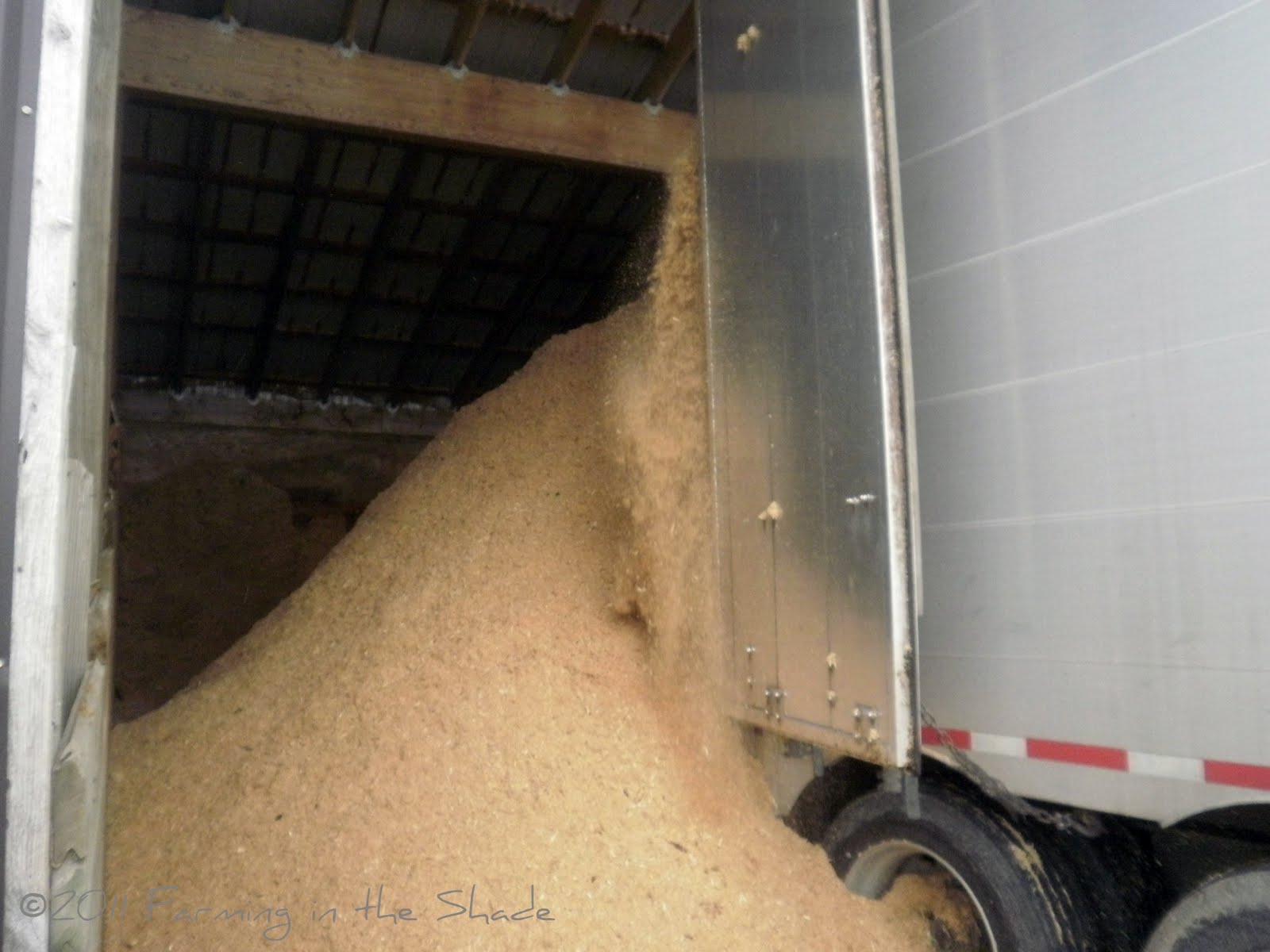 Another Load of Dust