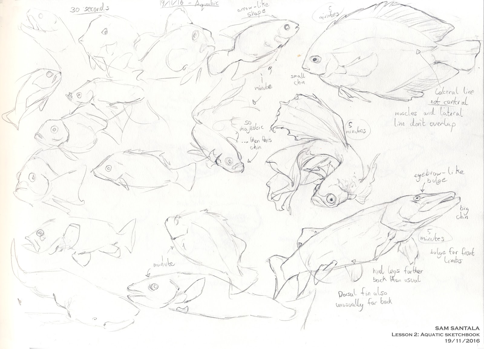 Terryl Whitlatch Creature Course #2 - Plethios