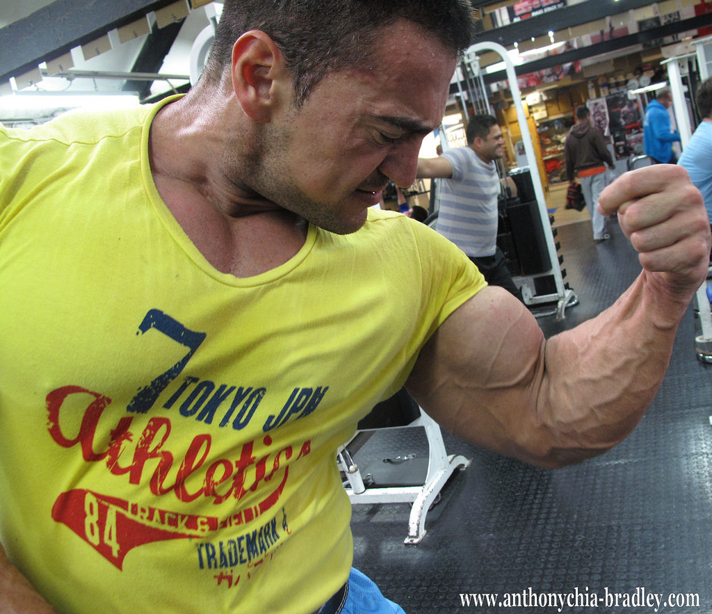 Muscle Lover: Iraqi muscle brothers Serwan & Ally Aljaff (2)