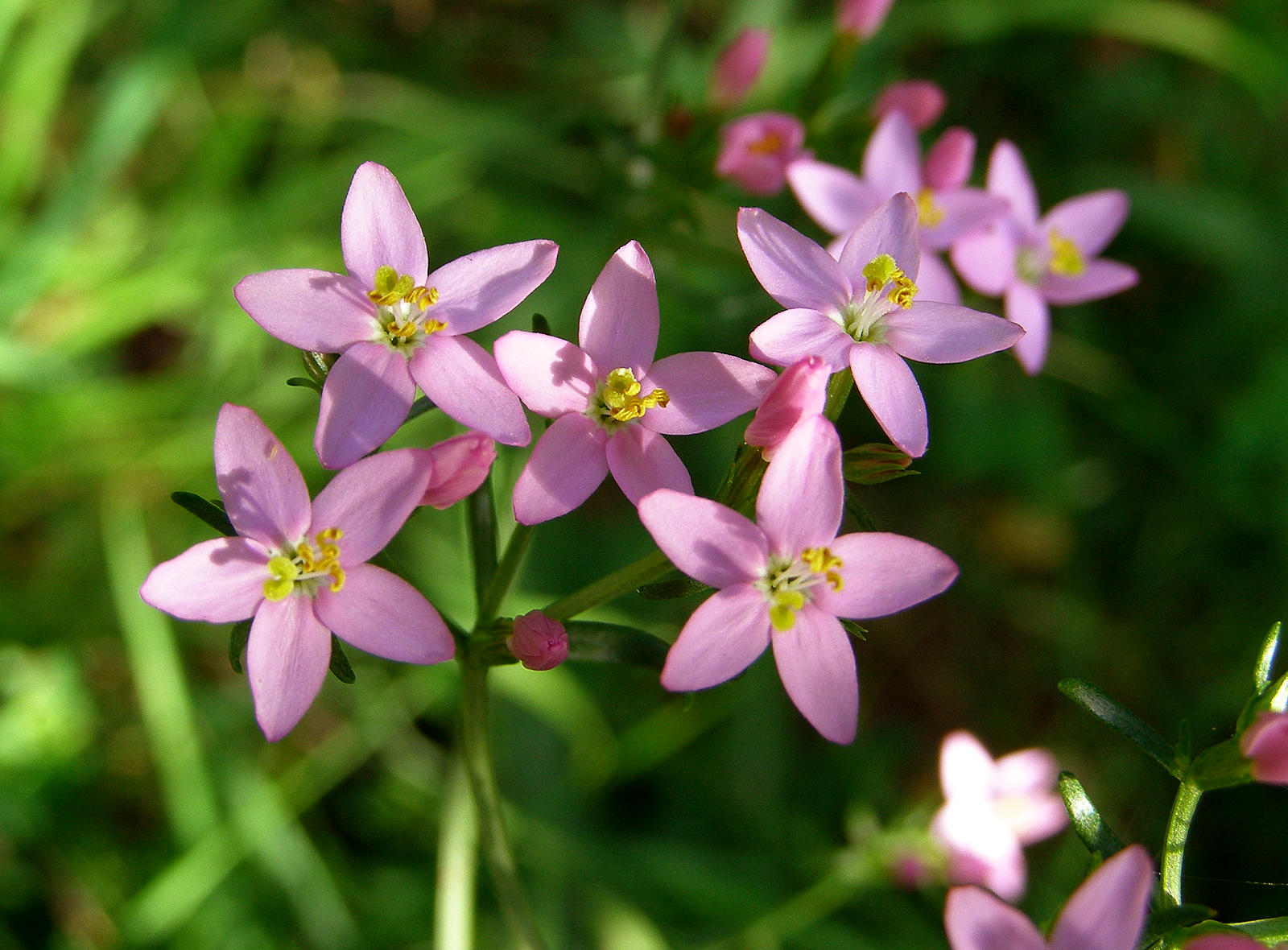 Random Jottings: July 2012