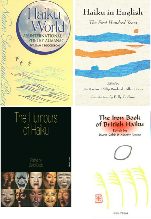 Area 17: ENTRY DETAILS THAT WE’D LIKE for haiku only entries