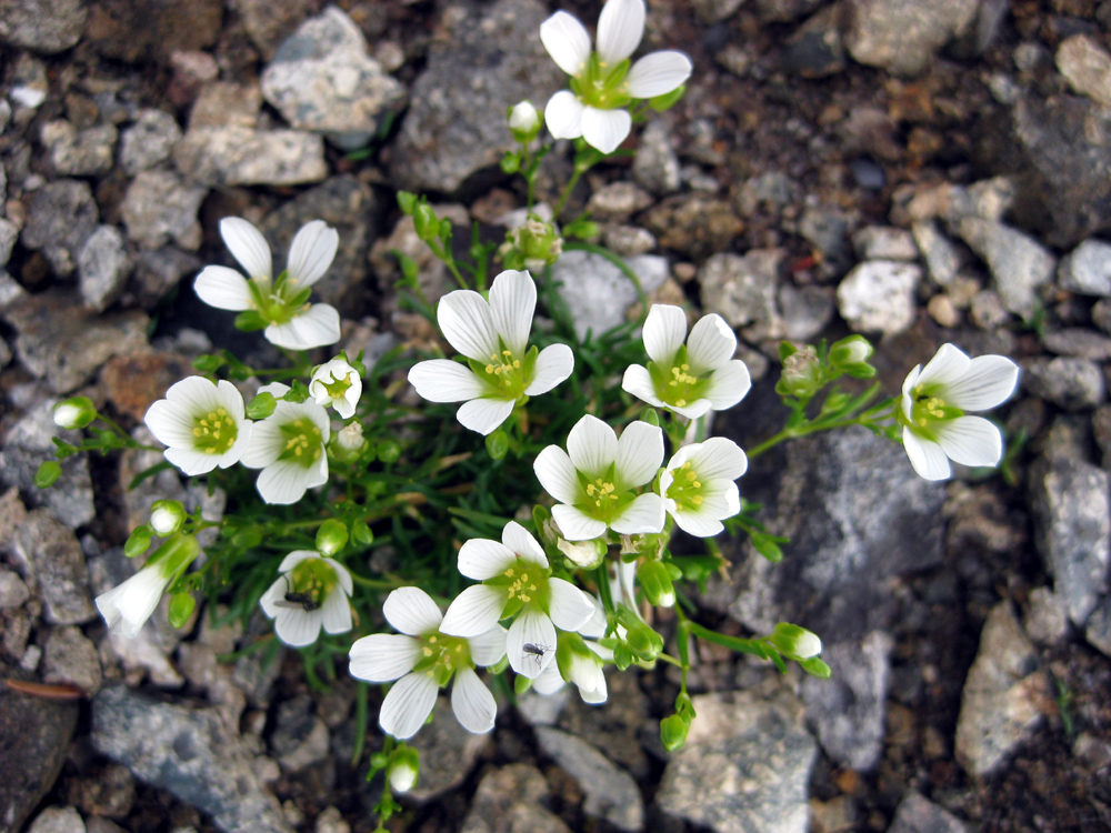 Naturally New England: Slide Up, Spring Down