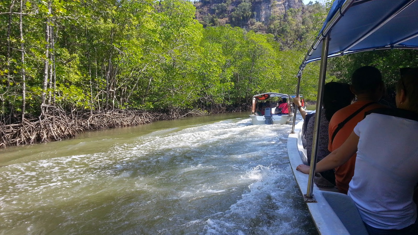 Langkawi Mangrove Tour: Mangrove Tour by Boat