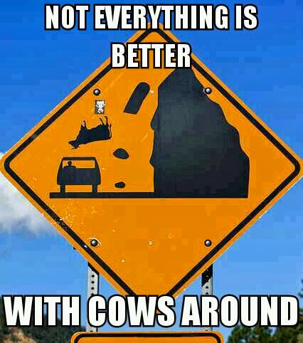 Farce the Music: Monday Morning Memes: Cole Swindell, Corb Lund, etc.