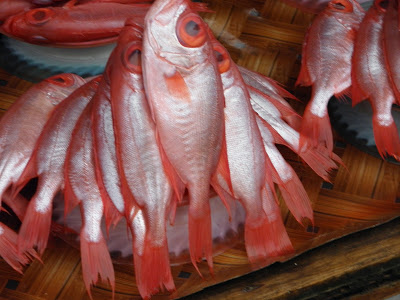 Rumah Hijau Telibong: IKAN UJI RASHID BAKAR KAK MAR