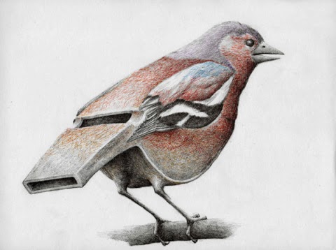 SylK's Playground: Animals vs Inanimate Objects