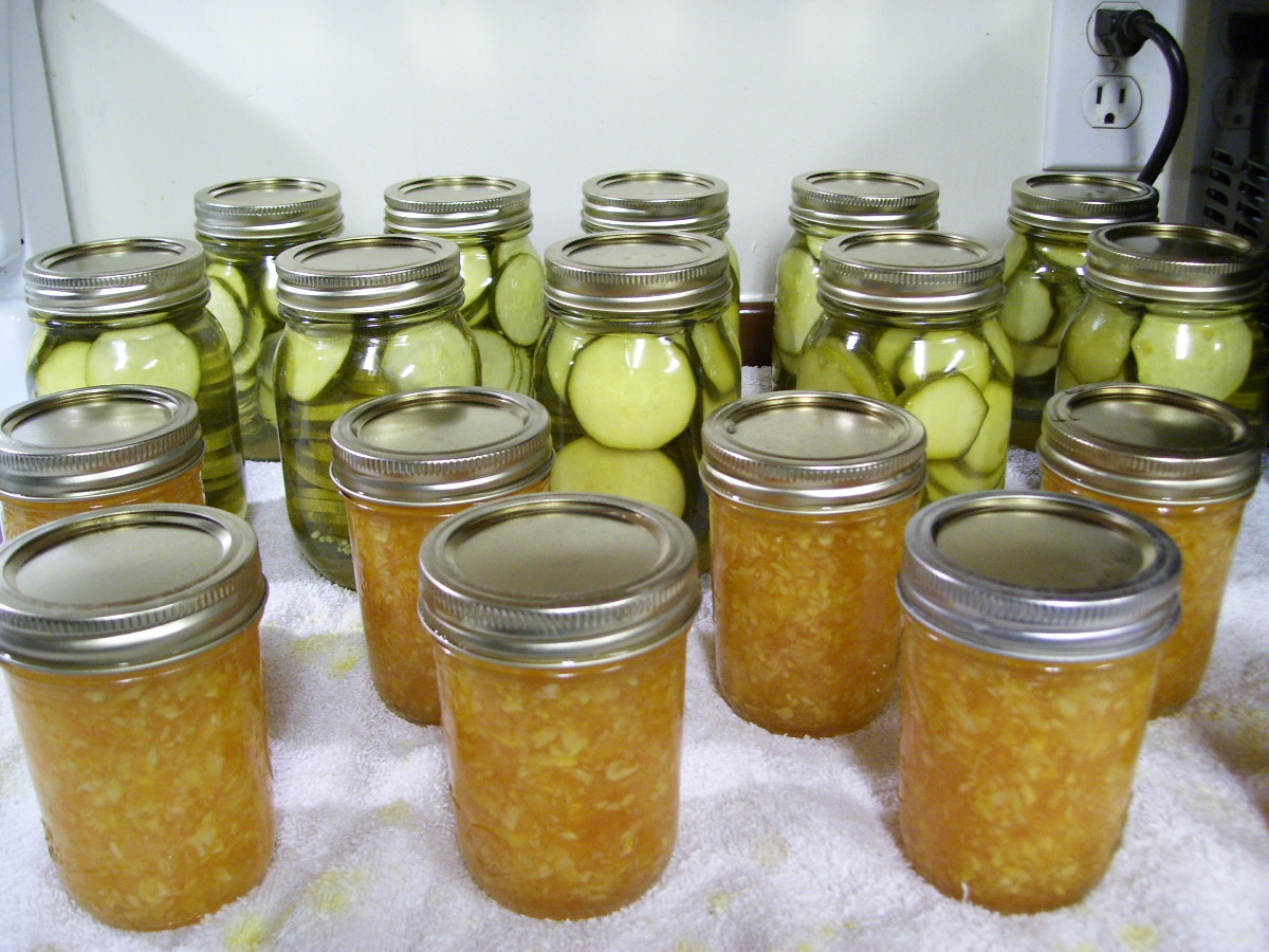 Learning To Live Free: Zucchini Dill Pickles / Orange Zucchini Jam ...