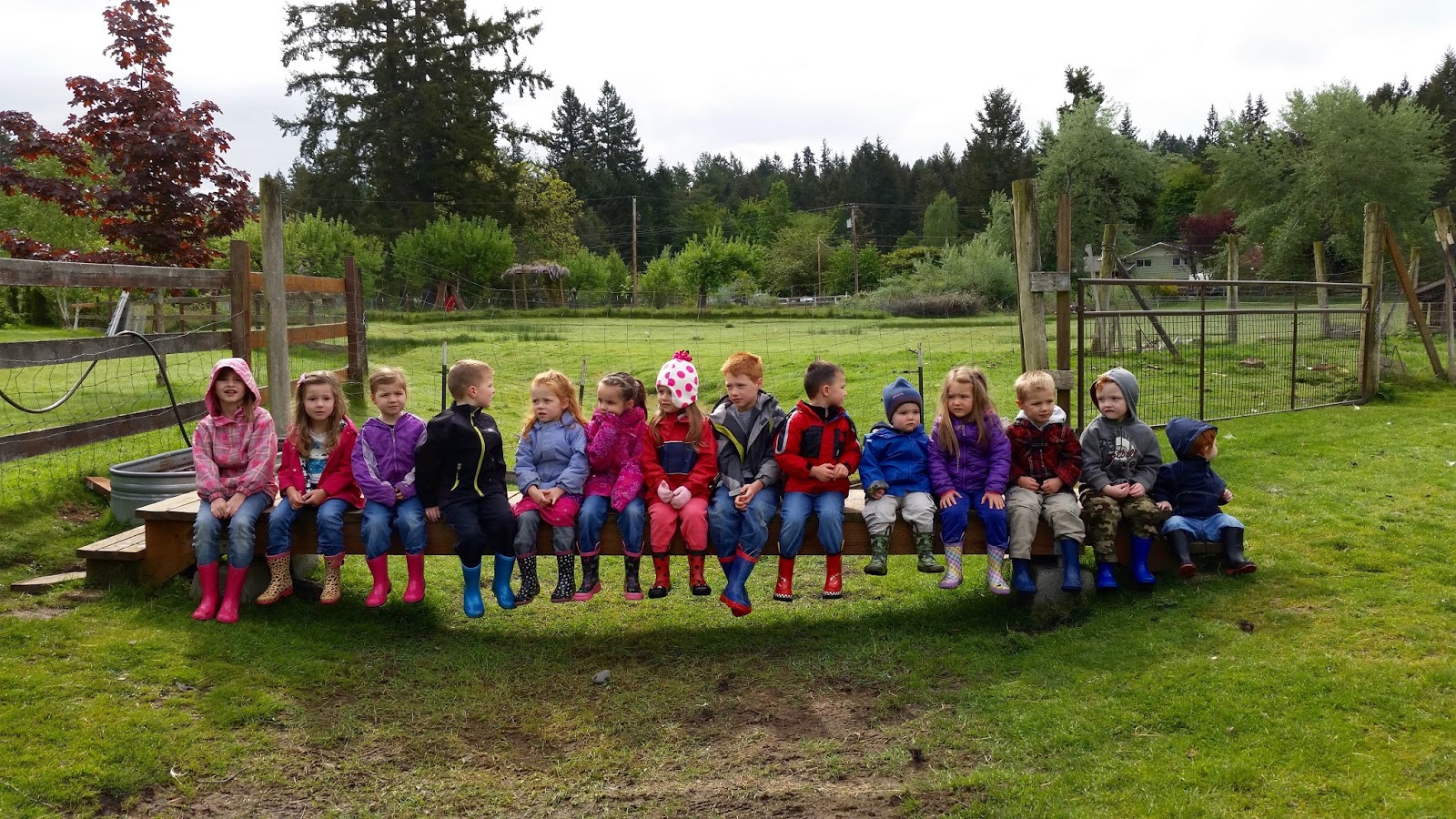 watch out for the woestmans: Farm Field Trip