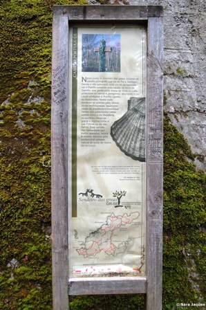 sítios e estados: No Vale do Rio Louro...