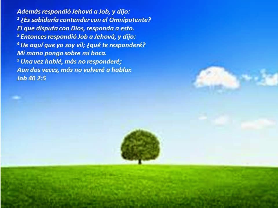 ATALA A TU CUELLO Devocional: Job 40