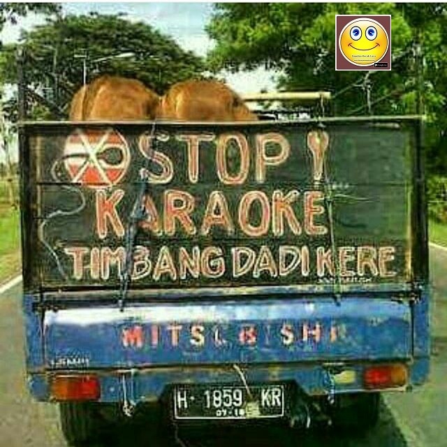 20+ Tulisan Belakang Truk Paling Lucu, Ide Terkini!