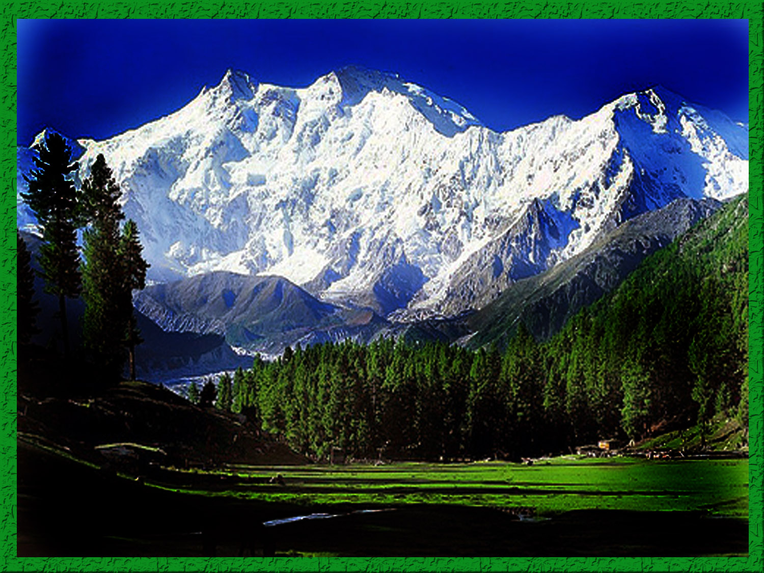 Spreebird: NANGA PARBAT (9th highest mountain of the world)