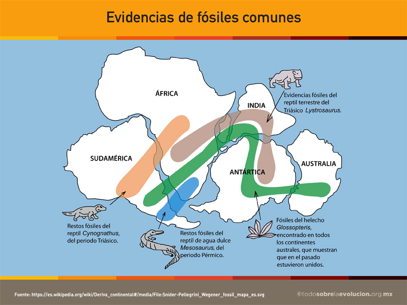 Blog Tecnologia: BIOLOGIA