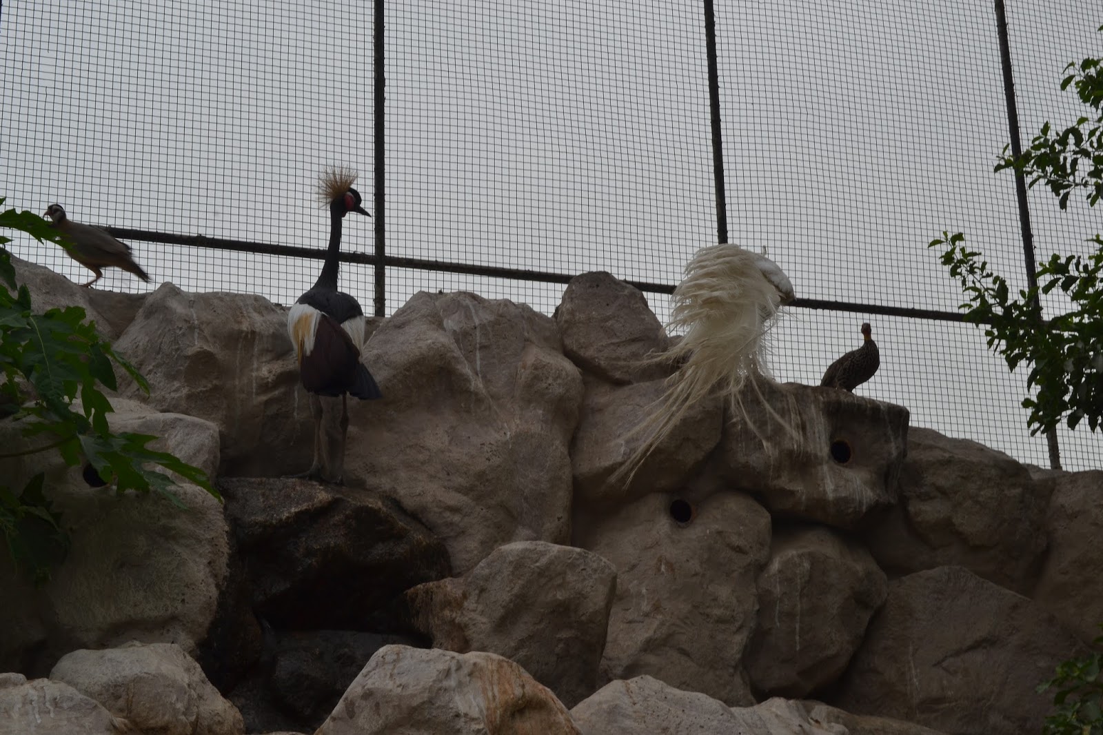 Al Areen Wildlife Park and Reserve- The Perfect Outdoor Spot