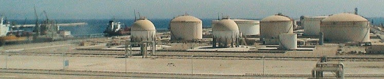 GUILLERMO ARGAME AMAN: Thales Security Solutions & Services Company