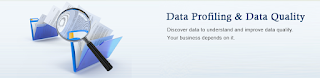 Importance of Data Profiling for Organizations