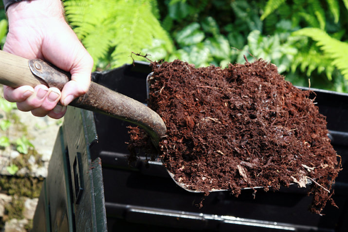 Bilal Mirza's World: 11 Best Composting Tips to Create a Perfect Compost