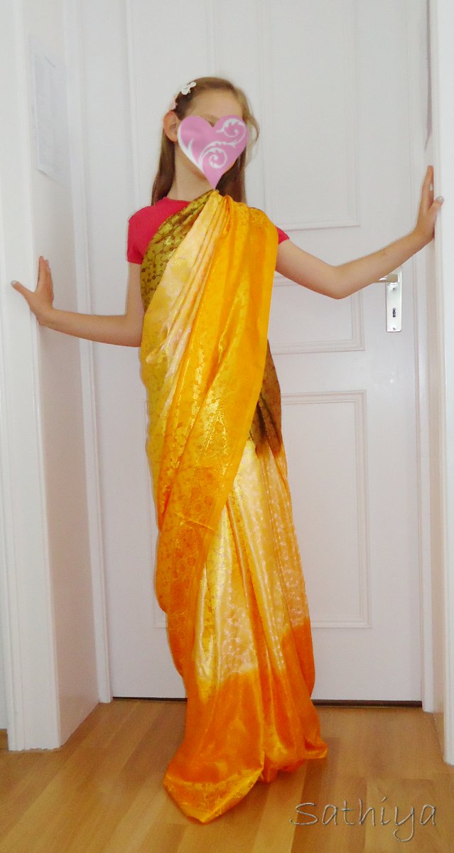 Wie Samt und Seide: Sari Sari