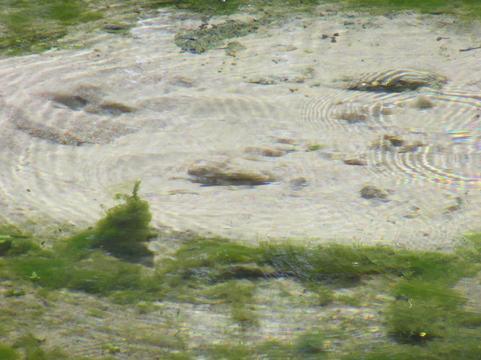 Monumentos, Paisagens e Gastronomia de Cantanhede: Cadima